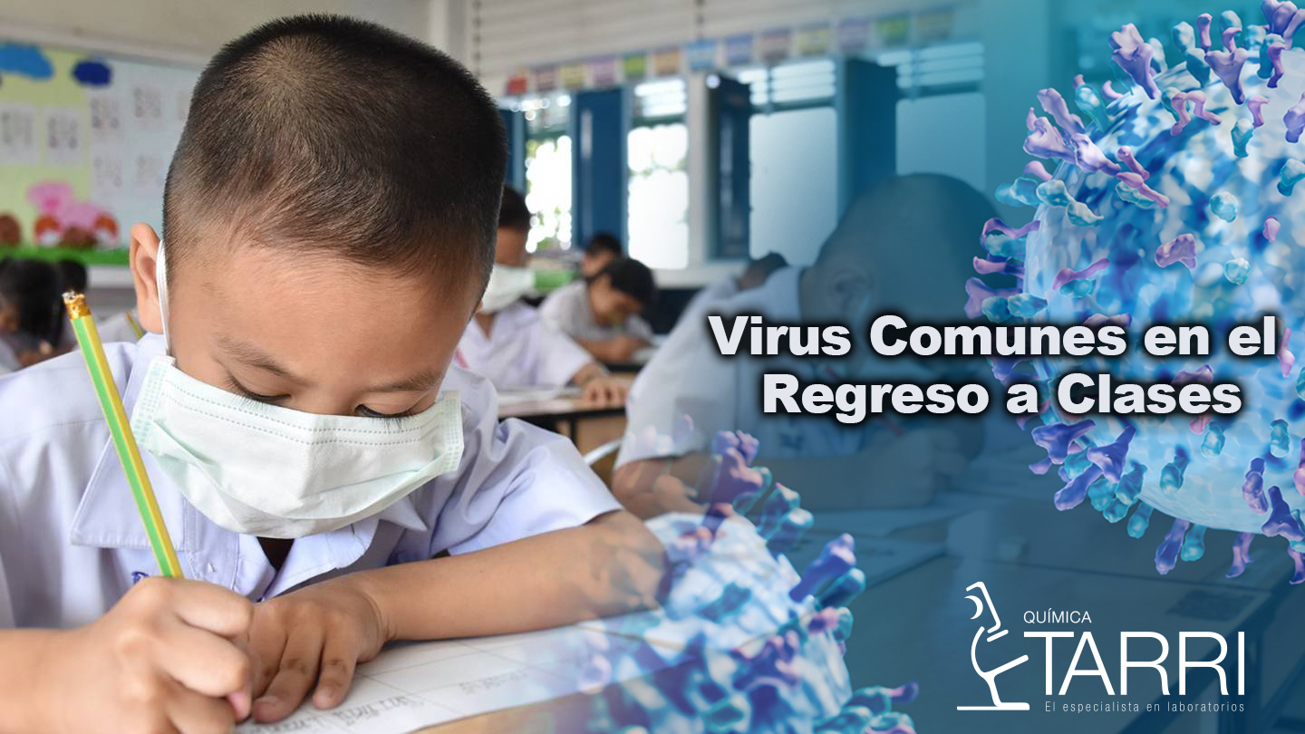 Preparándose para el Regreso a Clases: Virus Comunes y Cómo Mantener a ...